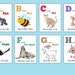 ABC Animal Movement Cards: Printable Learning Activity (PDF) - Etsy