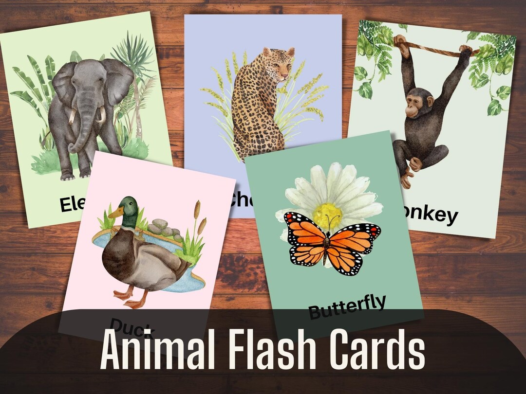 Printable Children's Pages for Preschool, Daycare, Homeschool | Animal ...