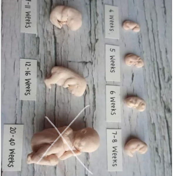 Fetus Doll - Etsy