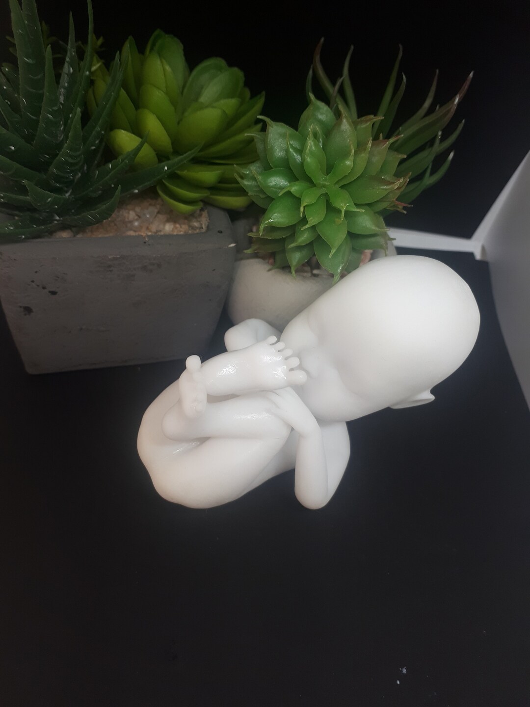 3D Printed Baby Fetuses', Baby Resin Printed - Baby Fetuses'- Resin ...