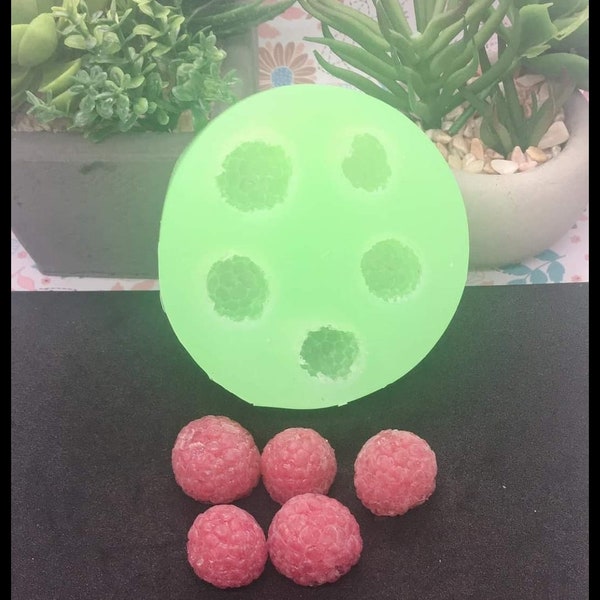 Raspberry Mold - Etsy