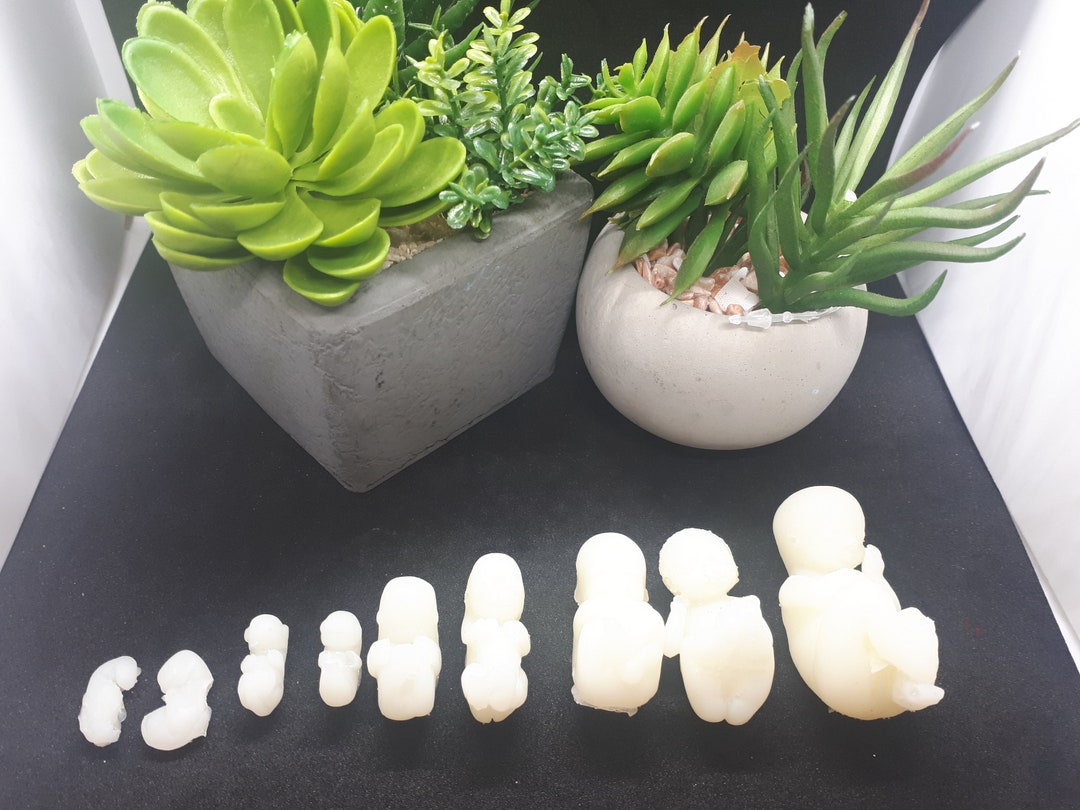 Resin Babies Fetuses' - Resin Keepsake- Baby Resin Pieces- Customized ...
