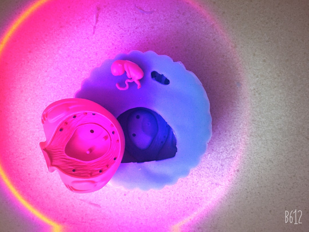 Embryo Gestational Mold- Fetus Mold 14 Week Gestational Mold- Baby ...