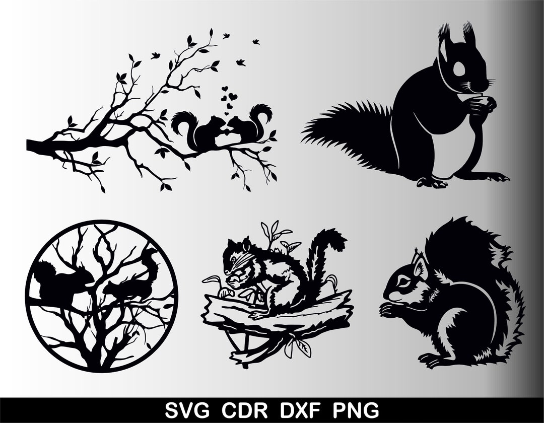Squirrel SVG, Squirrel Silhouette, Squirrel Vector, Squirrel Clipart ...