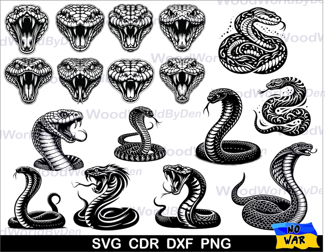 Snake Bundle Svg, Snake Head Svg, Snake Svg, Snake Cricut, Snake Png ...