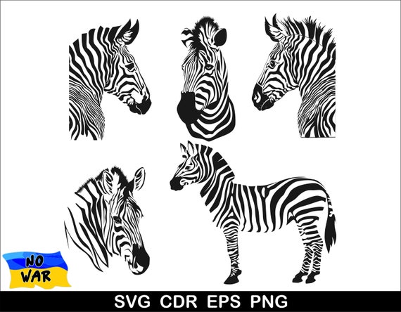 Zebra Svg Zebra Clipart Zebra Bundle Zebra Cut Files for | Etsy