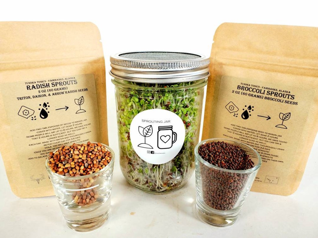 Microgreens Sprouting DIY Kit, Learn How to Grow Broccoli Sprouts ...