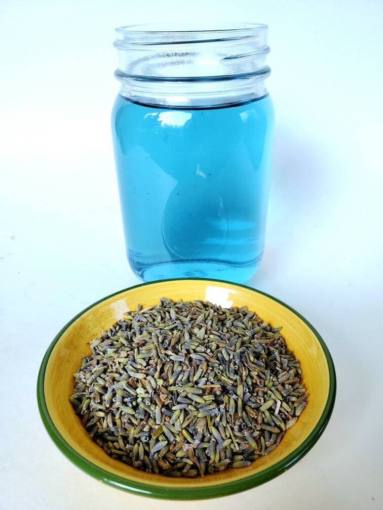 Wild Alaskan Mushroom Coffees — Tundra Tonics