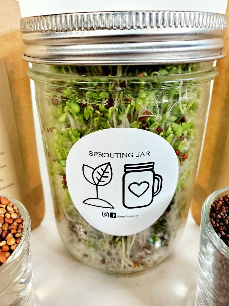 Microgreens Sprouting DIY Kit Learn How to Grow Broccoli | Etsy