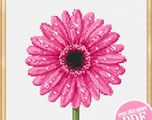 gerbera colours chart