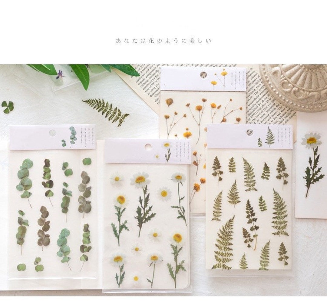 Floral Clear Stickers, Realistic Flower Stickers, Daisy Stickers, Fern ...