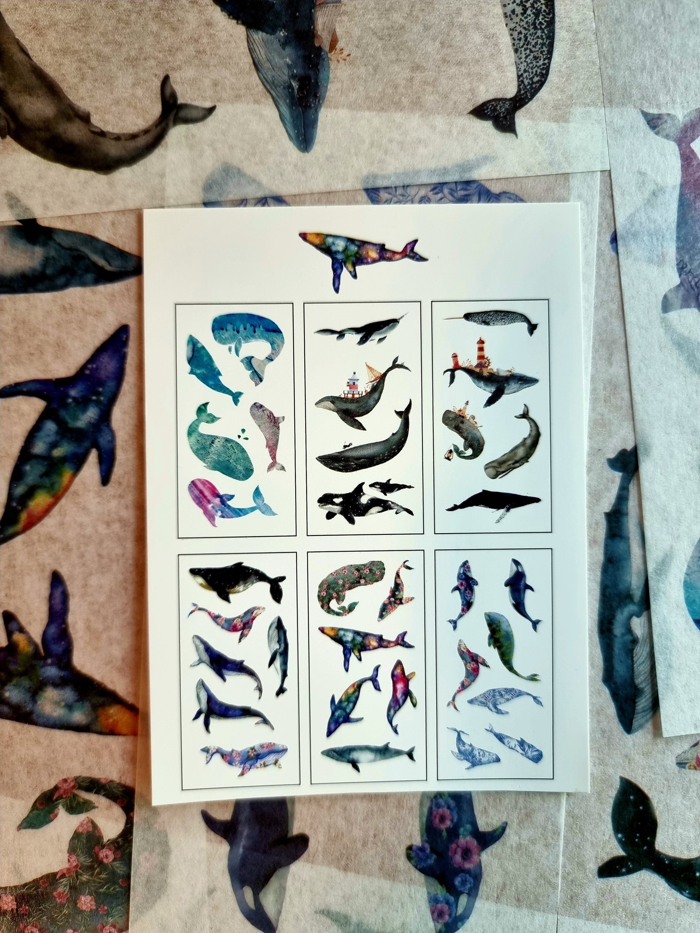 Beautiful Whale Washi Stickers Sea World Ocean Stickers Wale - Etsy