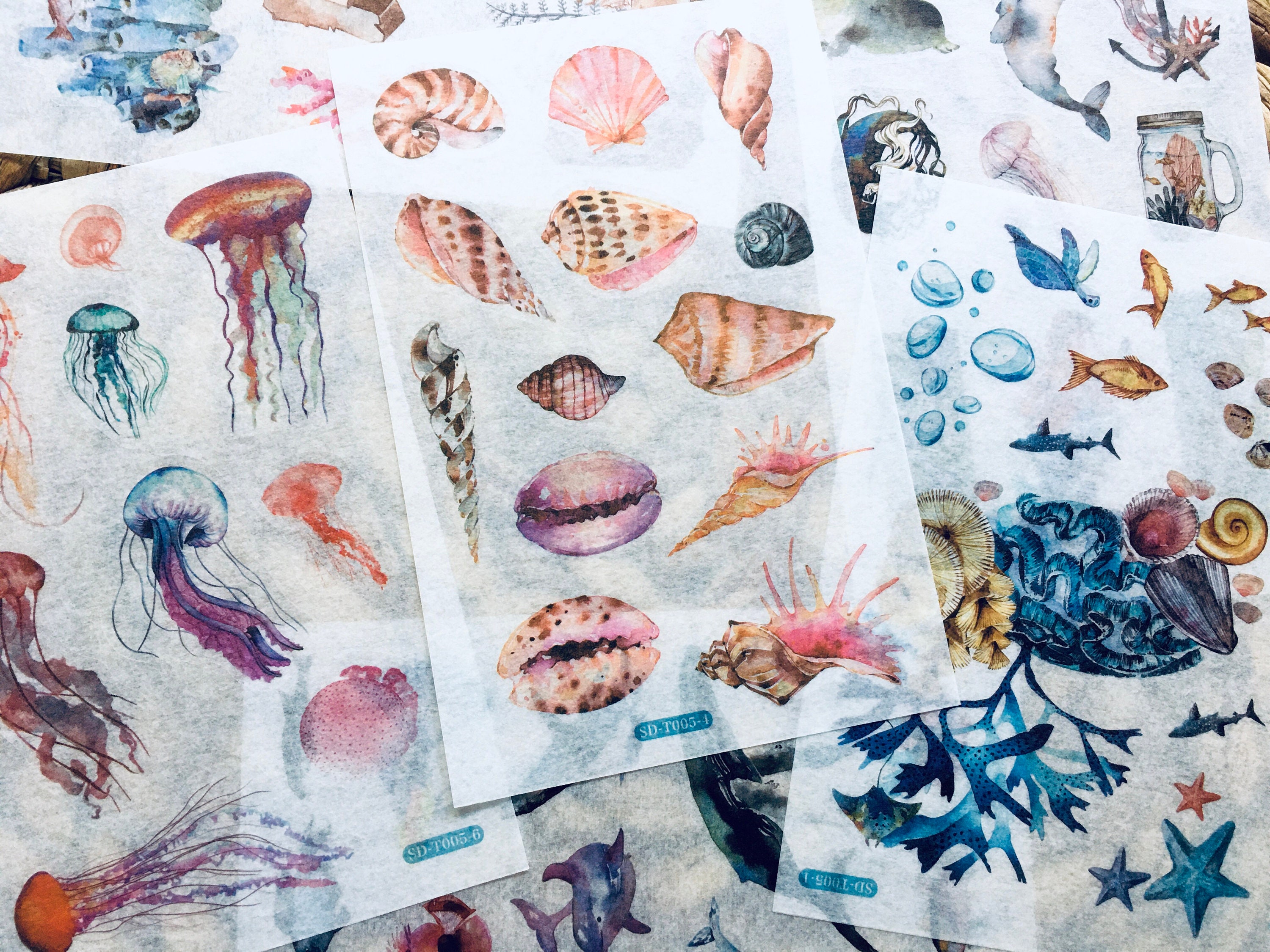 Sea Animals Stickers Seashells Stickers Sea Creatures | Etsy