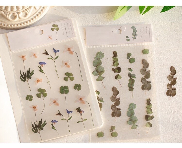 Floral Clear Stickers Realistic flower stickers Daisy | Etsy