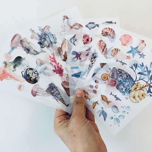 Sea Animals Stickers Seashells Stickers Sea Creatures | Etsy