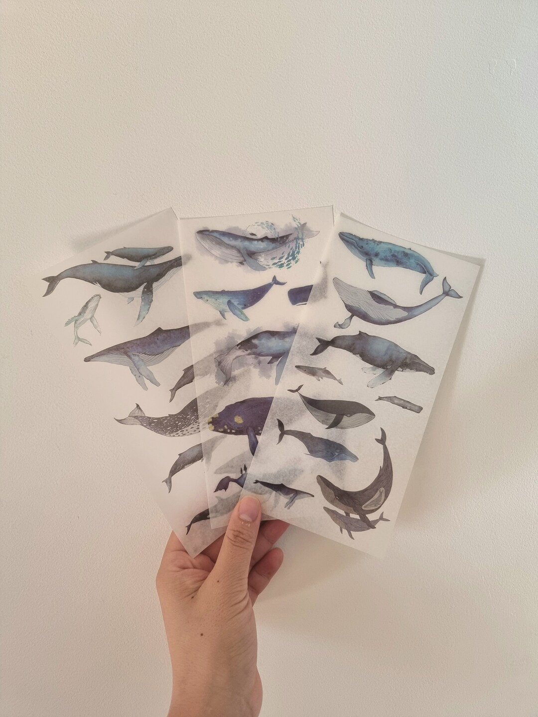Beautiful Whale Washi Stickers, Sea World Ocean Stickers, Wale ...