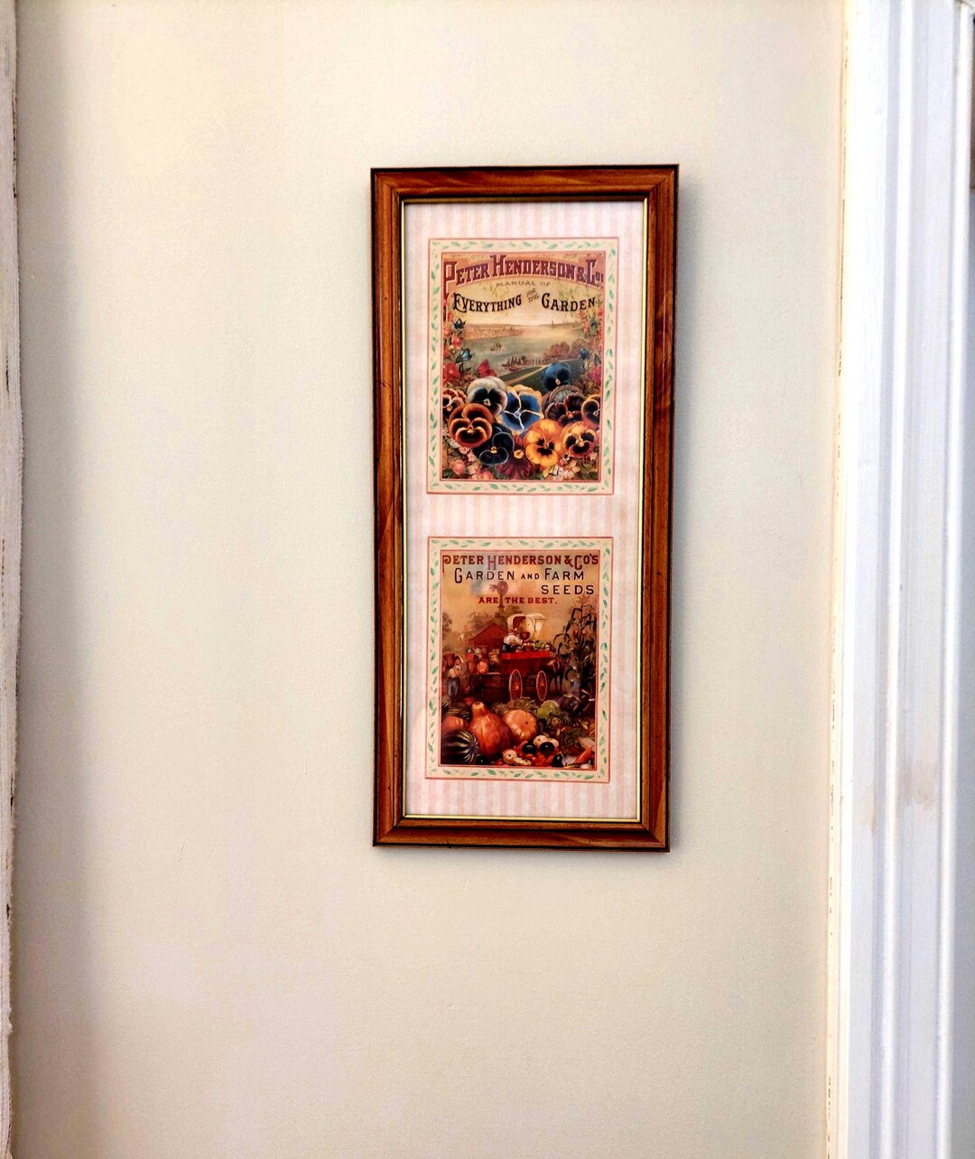 Vintage Garden Seed Posters in Wooden Frame 25 X 55cm, Farmhouse Art ...