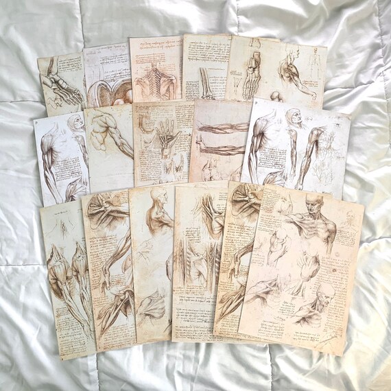 Leonardo Da Vinci Sketchbook Page Replicas Art Academia - Etsy
