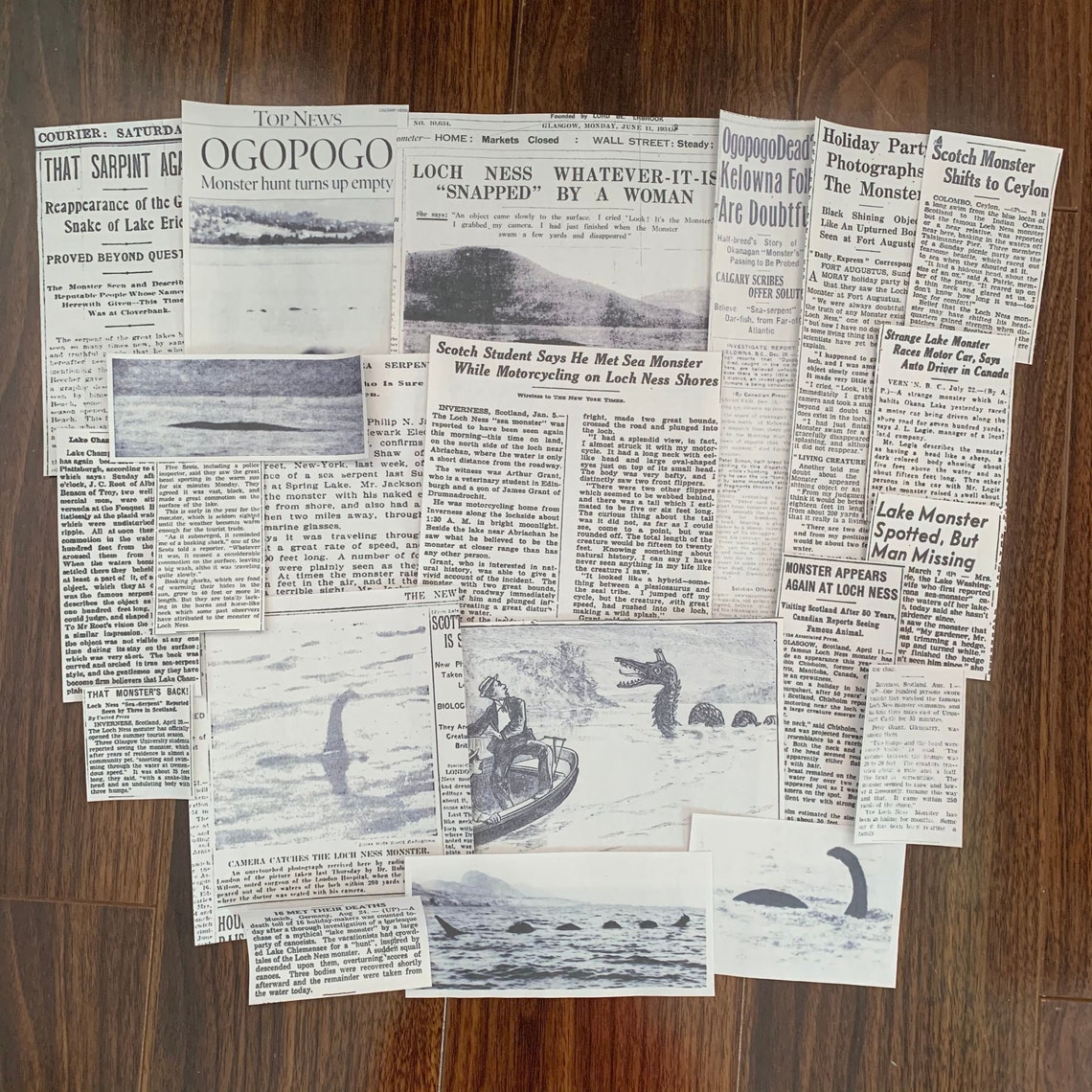 Lake Monster Newspaper Clippings Set - Etsy