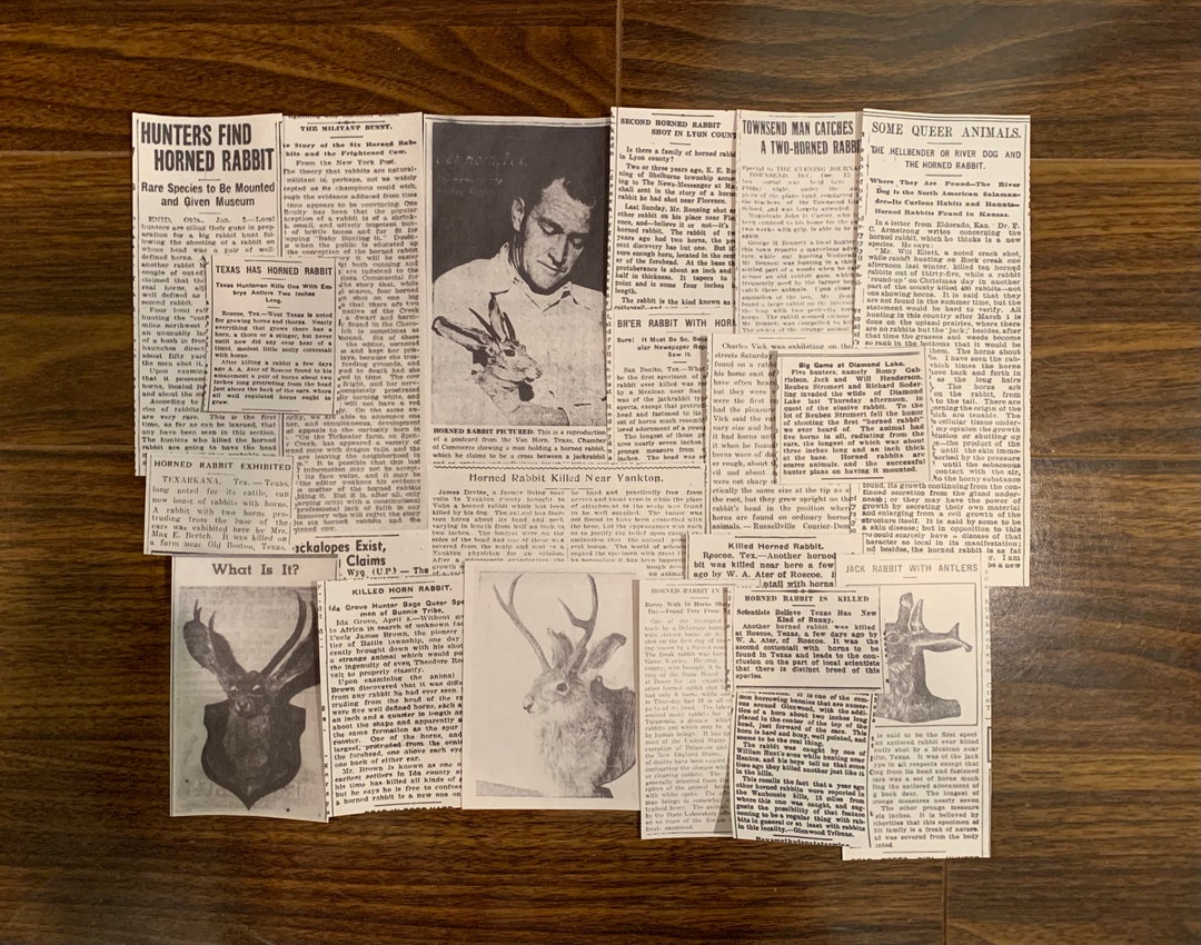 Jackalope Newspaper Clippings 21 Piece Set | Cryptidcore Cryptid ...