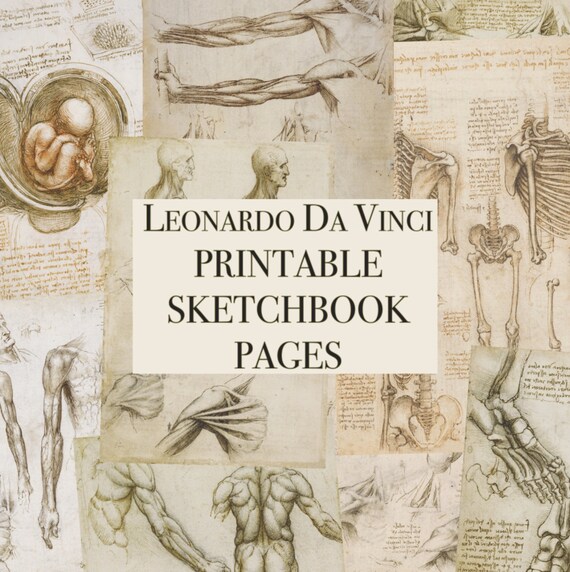 Renaissance Anatomy Da Vinci