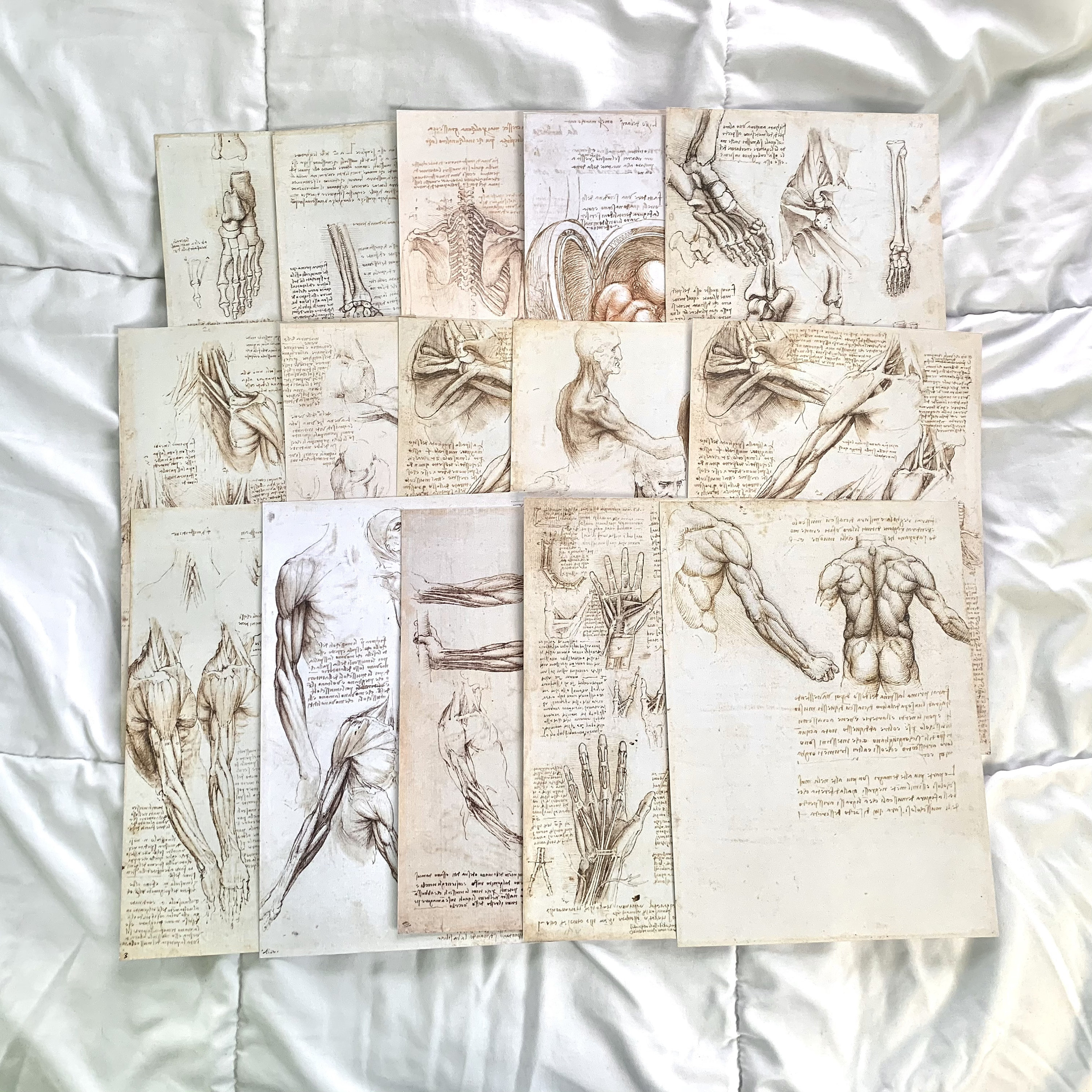 Leonardo Da Vinci Sketchbook Page Replicas Art Academia | Etsy