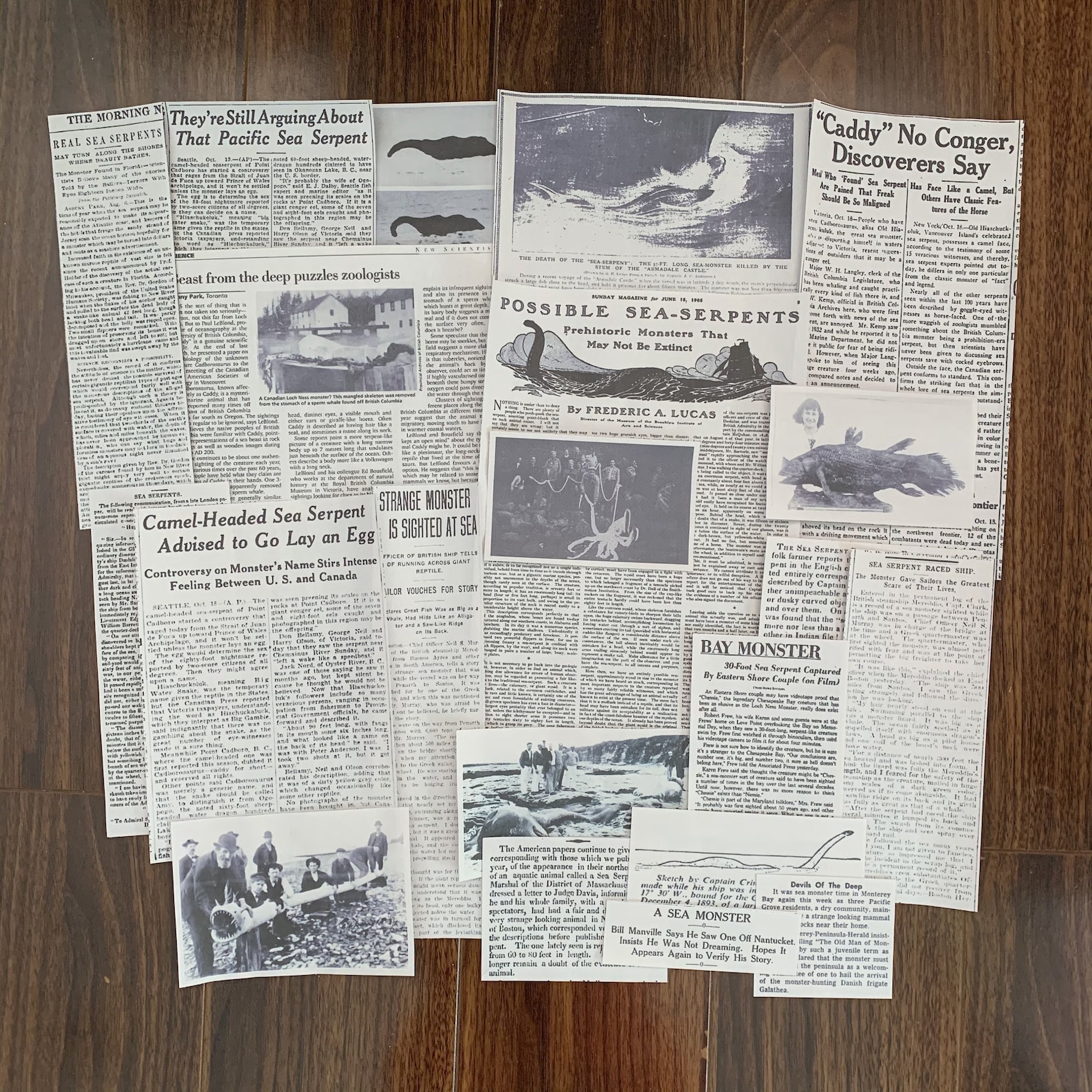 Sea Monster Newspaper Clippings Set - Etsy