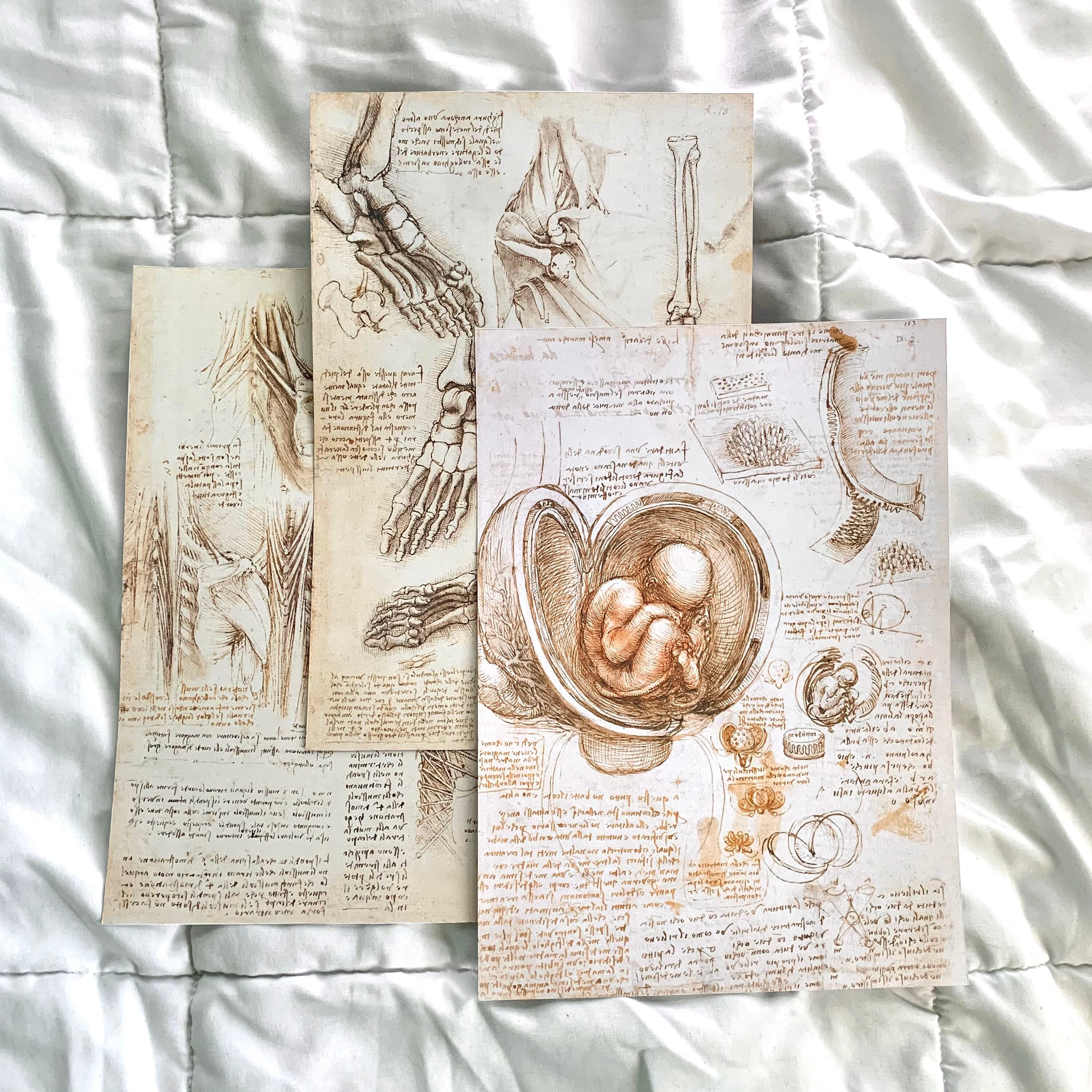 Leonardo Da Vinci Sketchbook Page Replicas Art Academia - Etsy