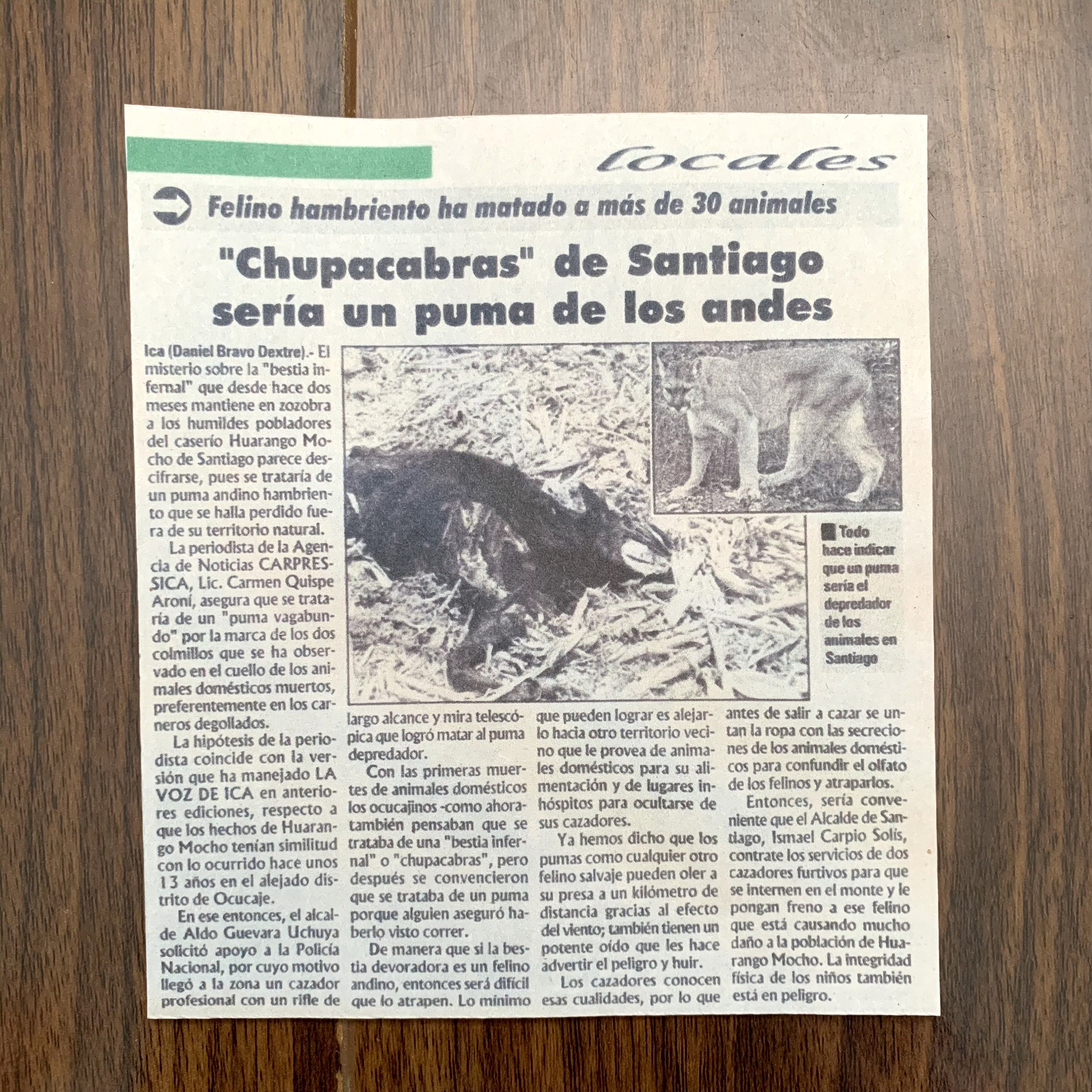 Chupacabra Cryptid Newspaper Articles Set Cryptidcore - Etsy