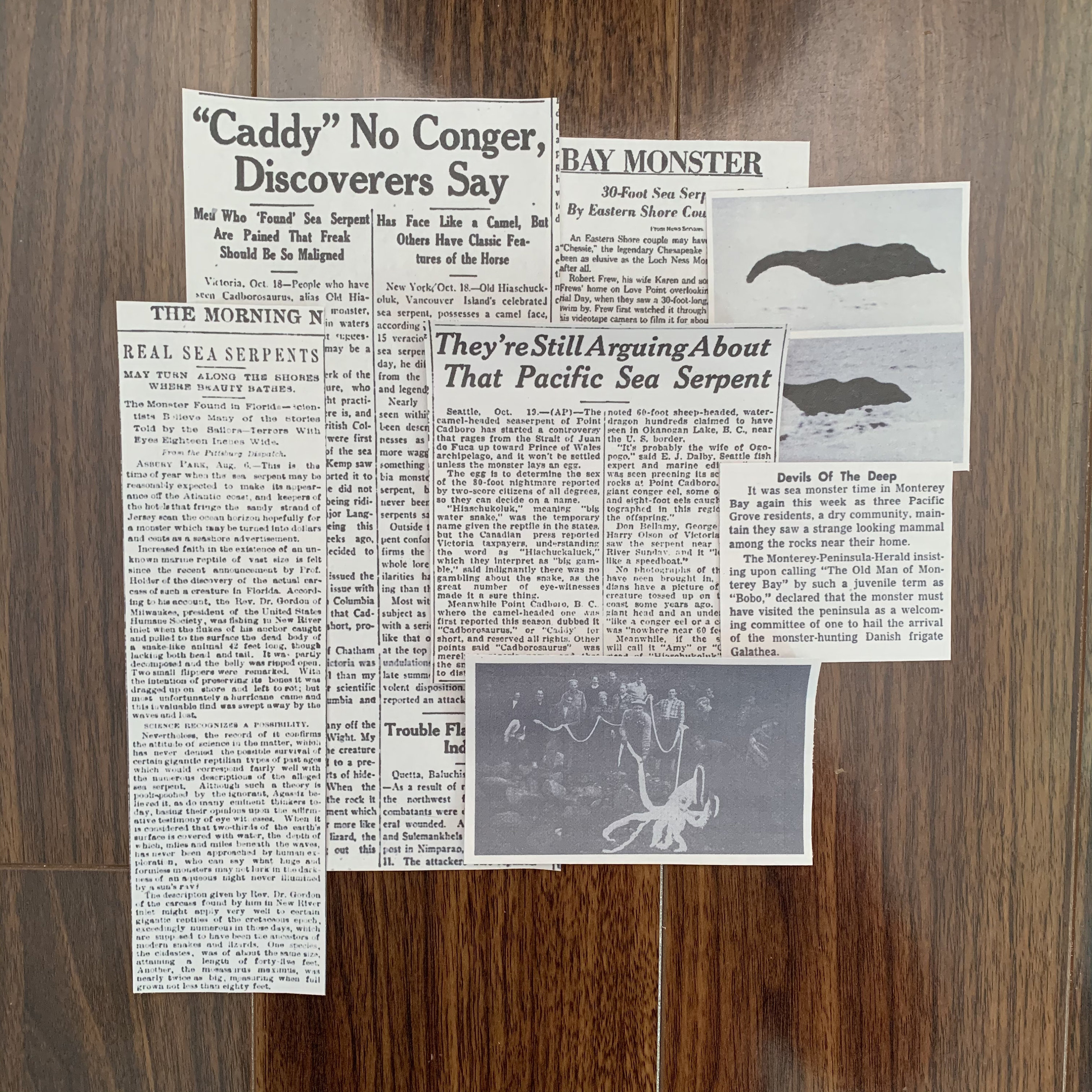 Sea Monster Newspaper Clippings Set - Etsy