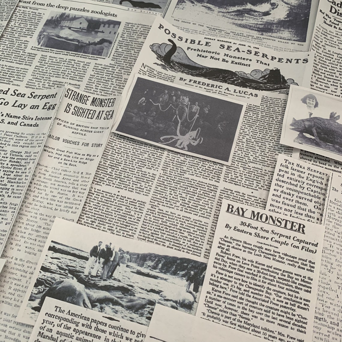 Sea Monster Newspaper Clippings Set - Etsy