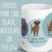 Labrador Retriever Mug: Chocolate Lab's Daily To-do List With Funny ...