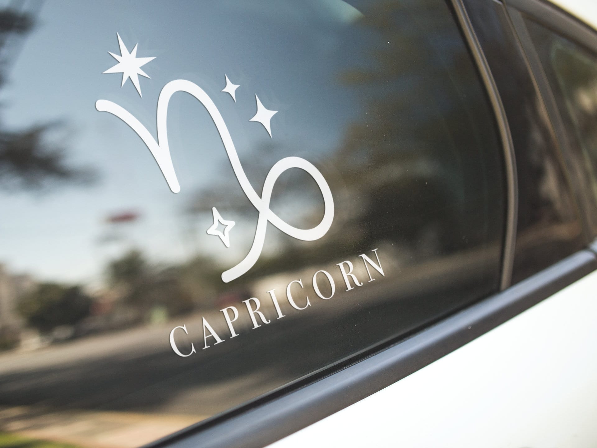 Capricorn Decal, Capricorn Car Decal, Capricorn Sticker, Horoscope ...