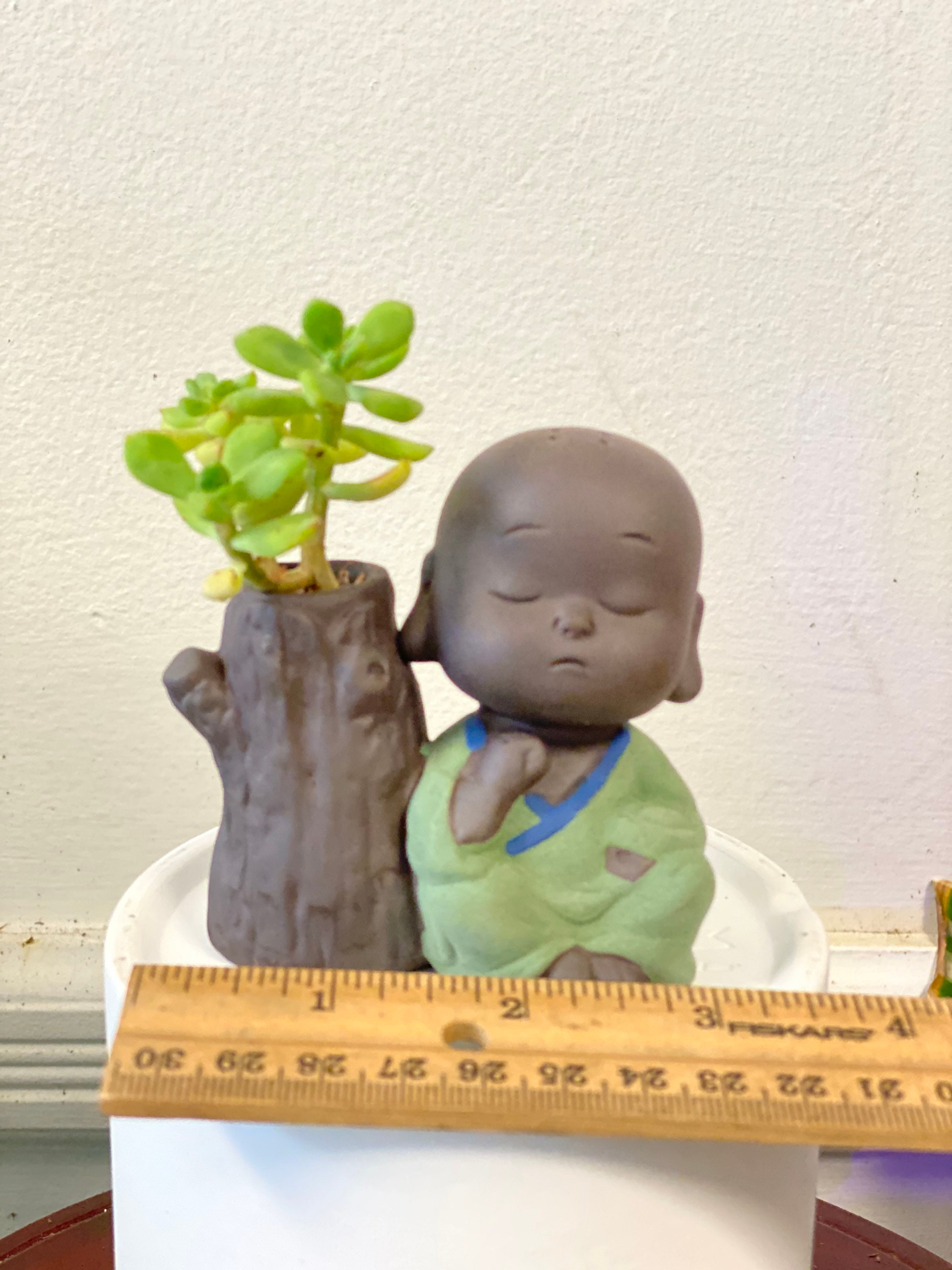 Little Monk Ceramic figurines planter with live Sedum | Etsy