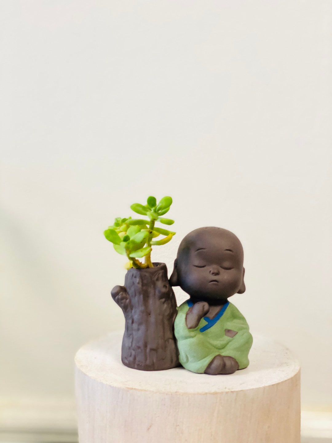 Little Monk Ceramic Figurines Planter With Live Sedum Echeveria ...