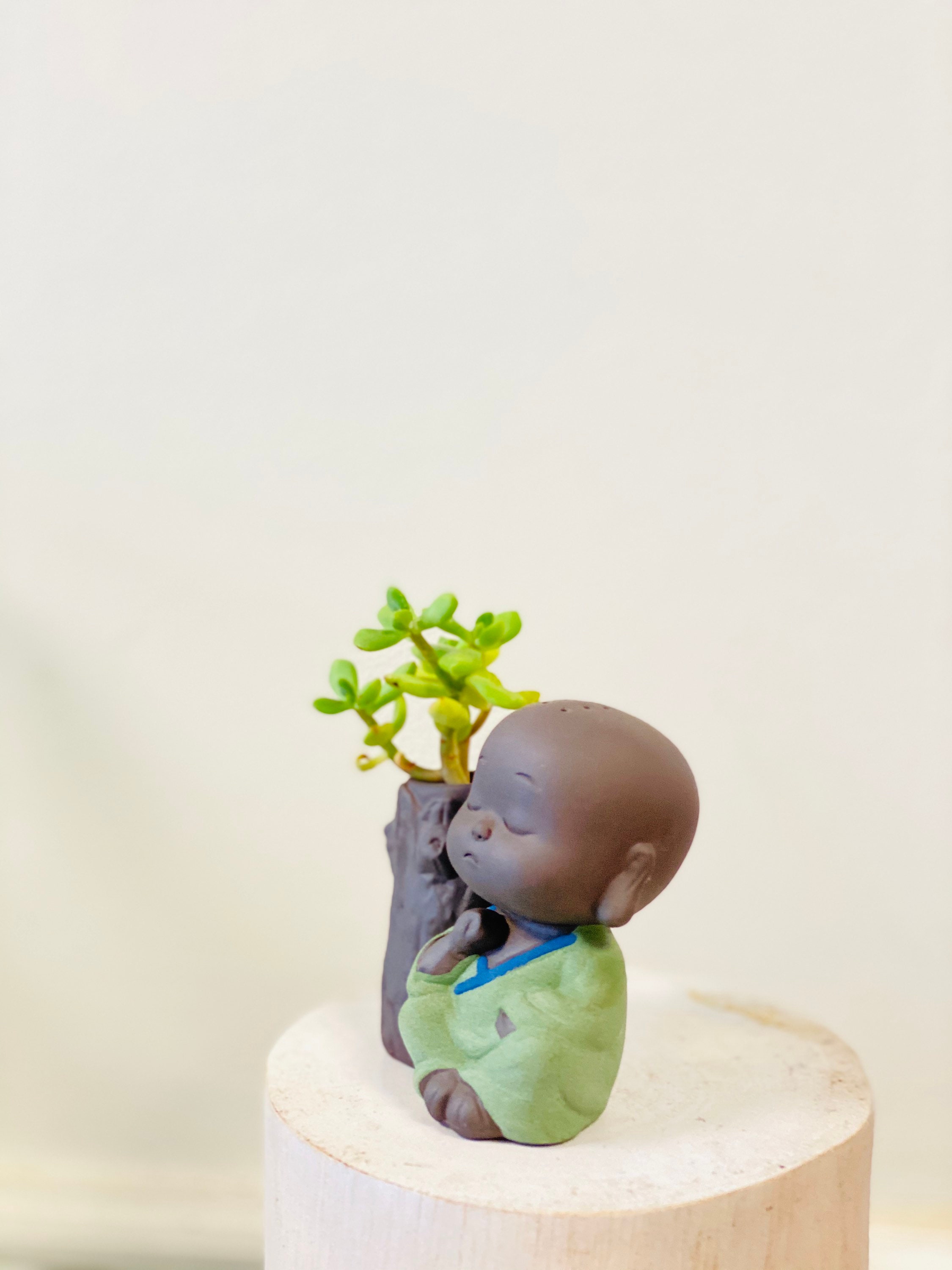 Little Monk Ceramic figurines planter with live Sedum | Etsy