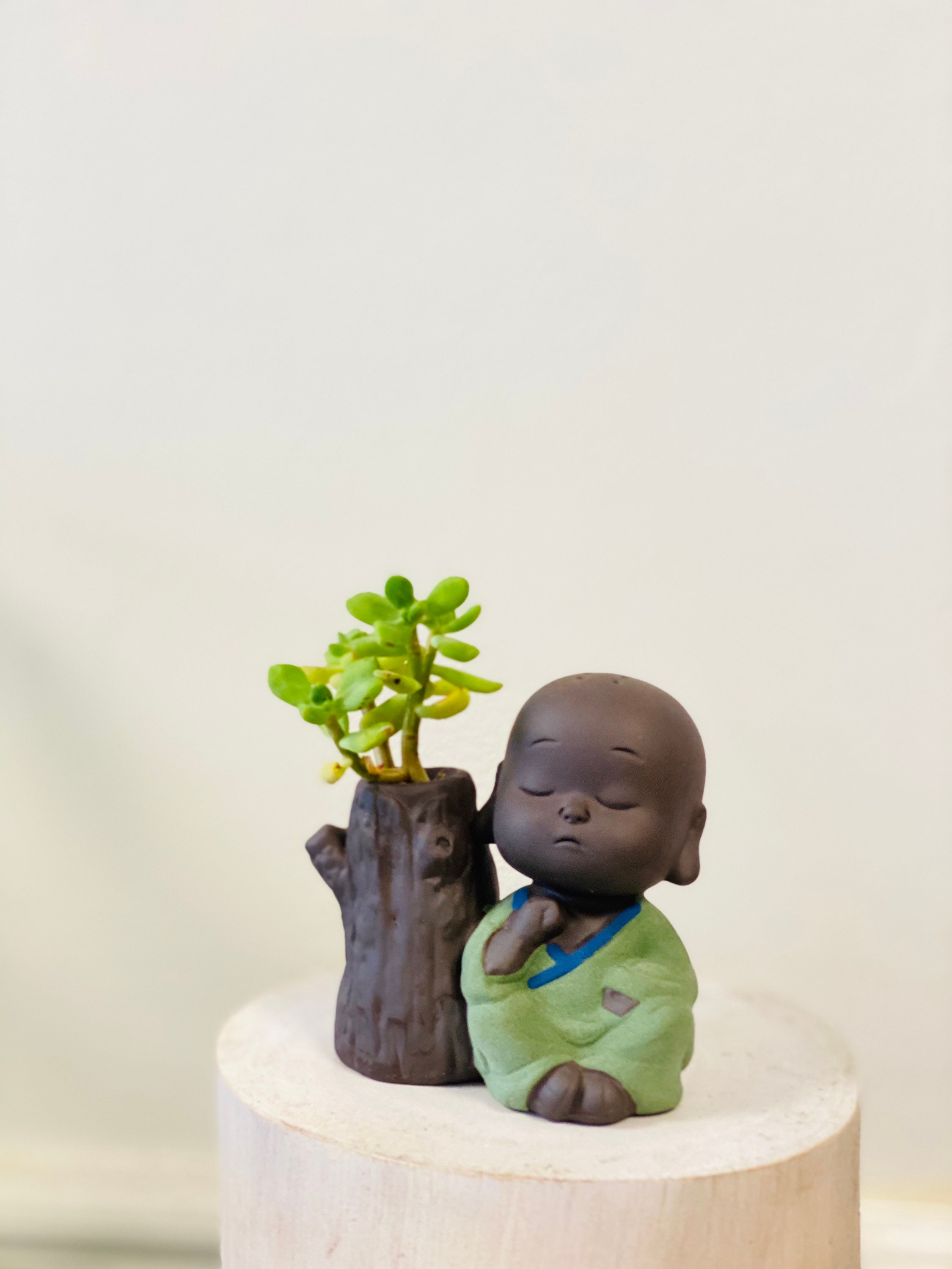 Little Monk Ceramic figurines planter with live Sedum | Etsy