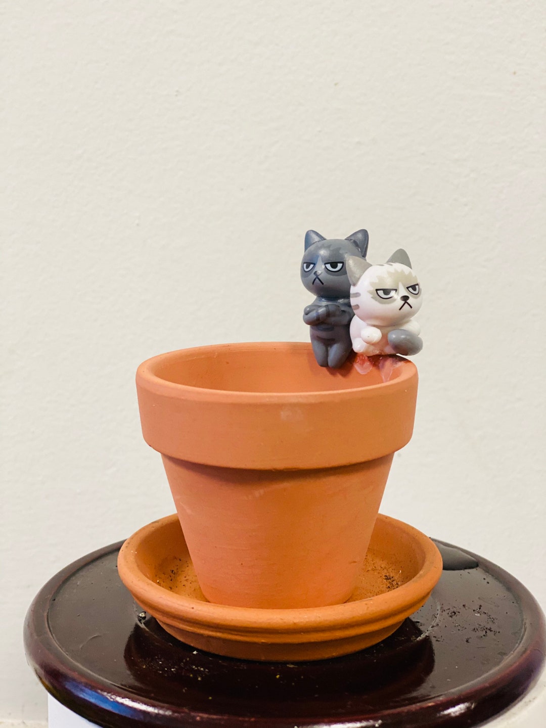 Double Action Cat Warrior Cat Decor Small Terracotta Pot and Saucer. 2. ...