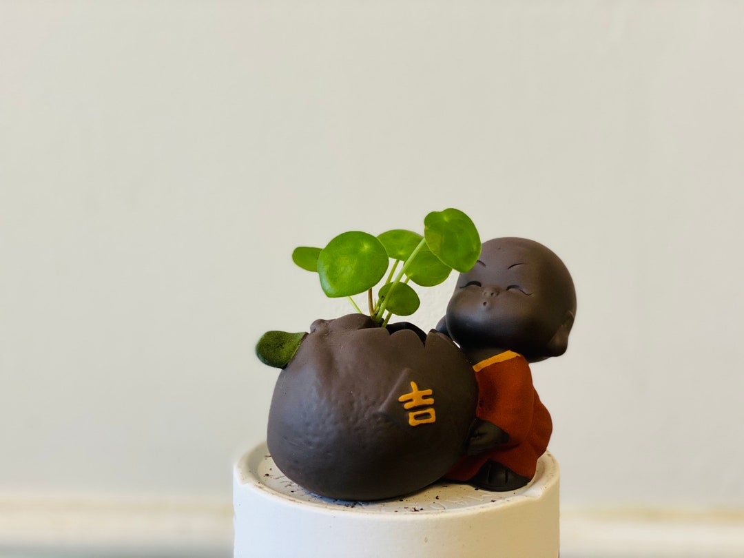 Little Monk Purple Sand Ceramic Figurines Planter With Live Plant Pilea ...