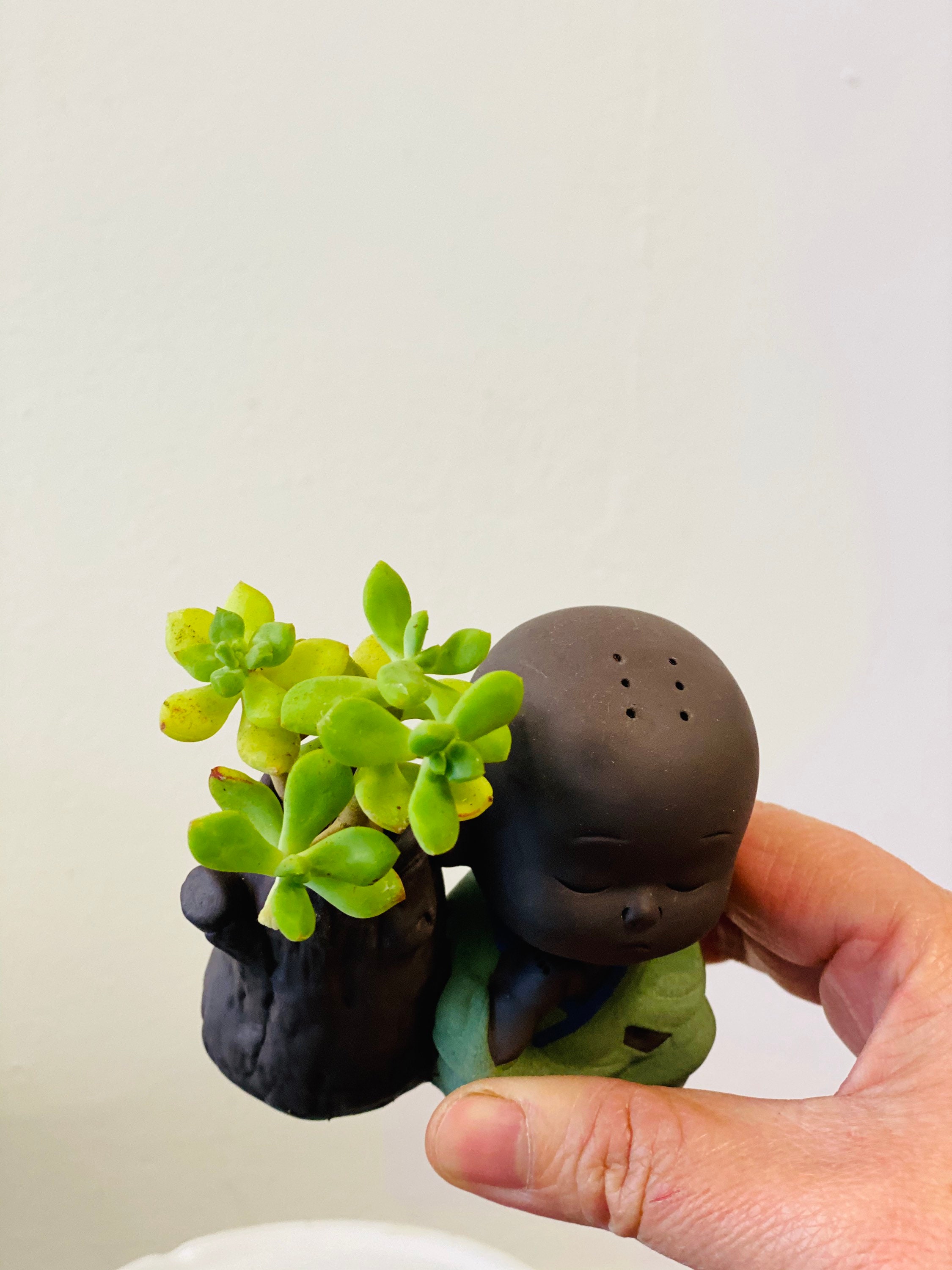 Little Monk Ceramic figurines planter with live Sedum | Etsy