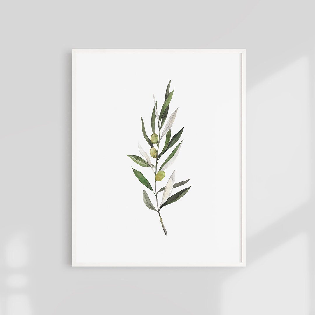 Olive Print Olive Branch Print Olive Watercolor Botanical | Etsy