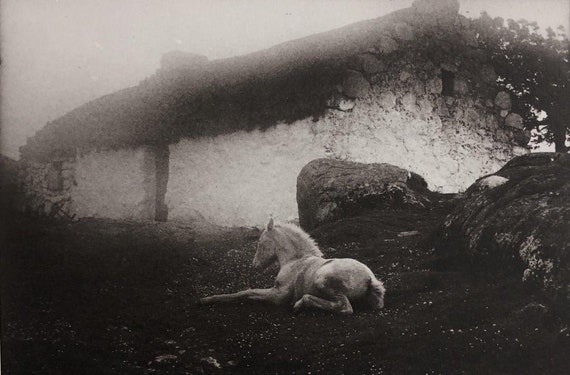 David Hamilton Untitled - Etsy