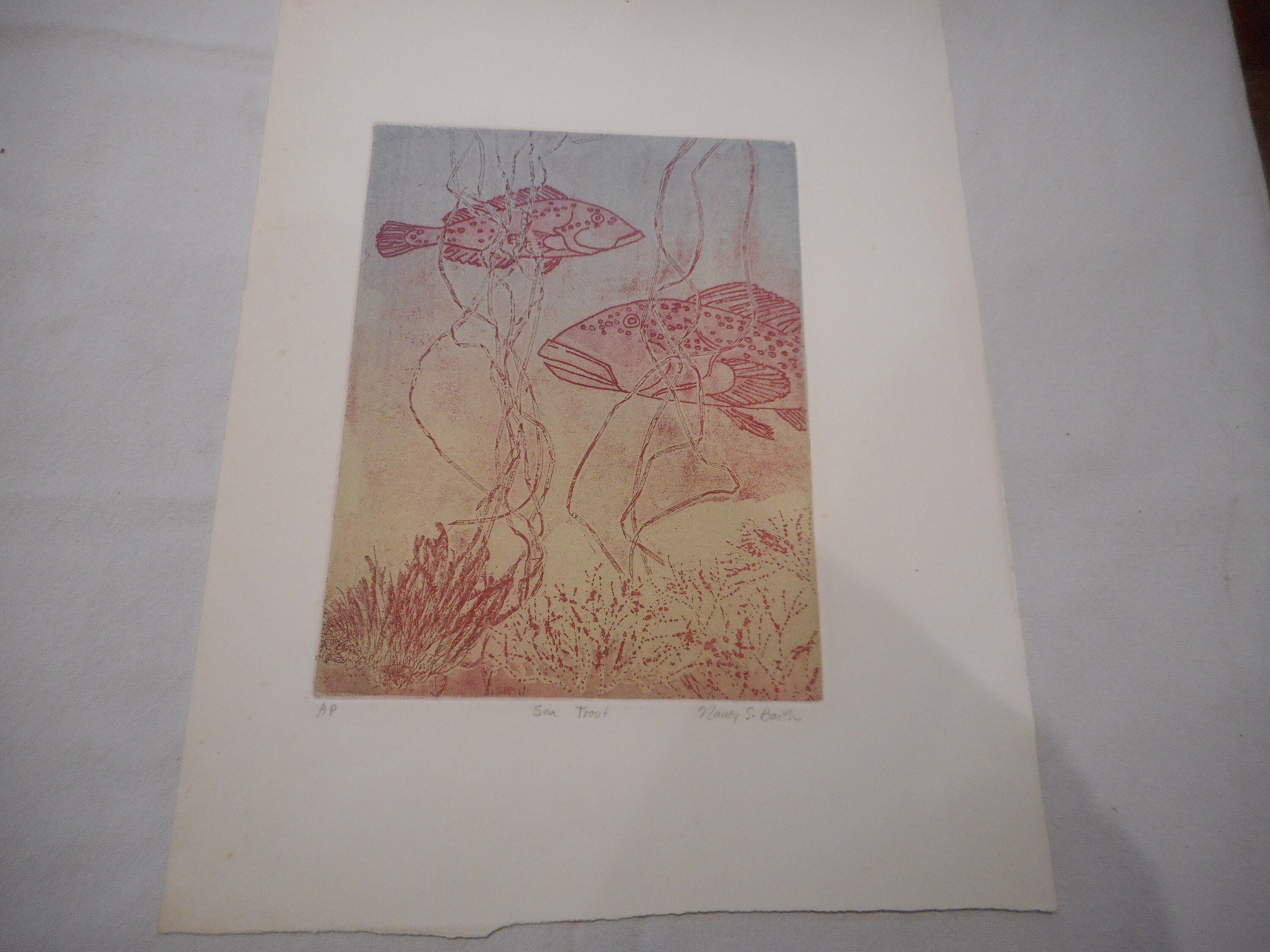 1960s Sea Trout Intaglio Print: Mid-century Modern Artwork by Nancy ...