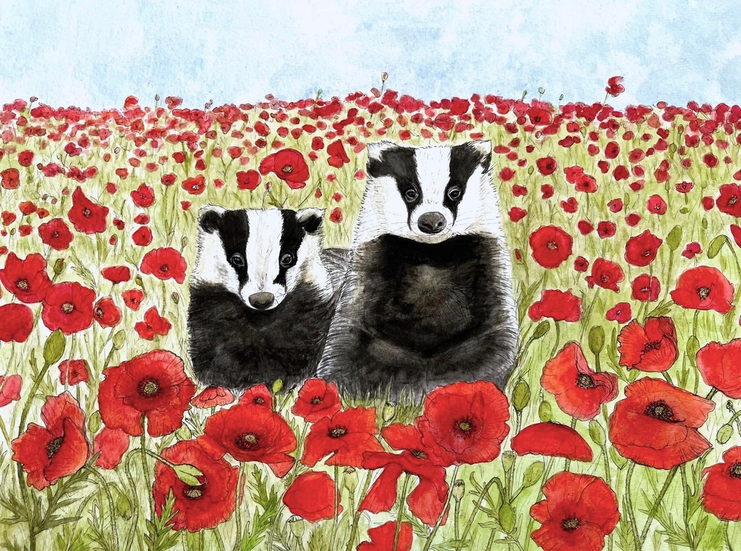 Postcard Badgers and Poppies - Etsy
