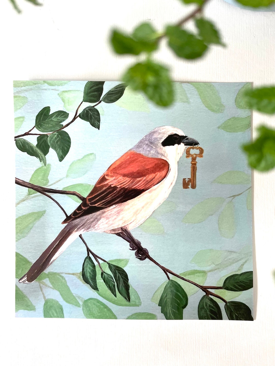Postcard Bird With Key - Etsy