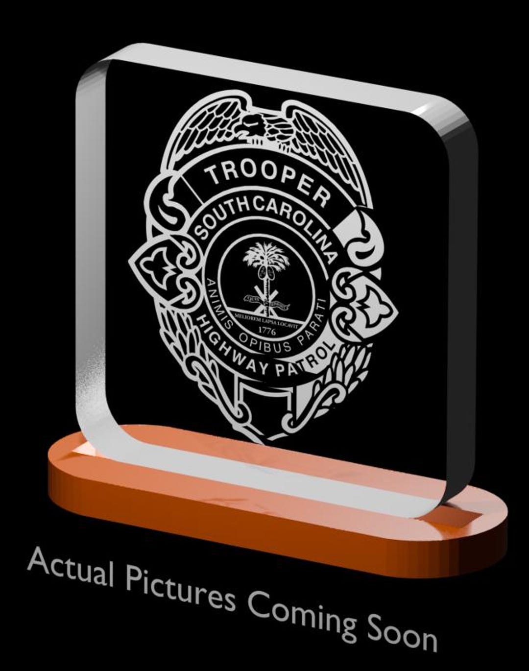 Personalized SCHP Badge Lighted Plaque - South Carolina Highway Patrol ...
