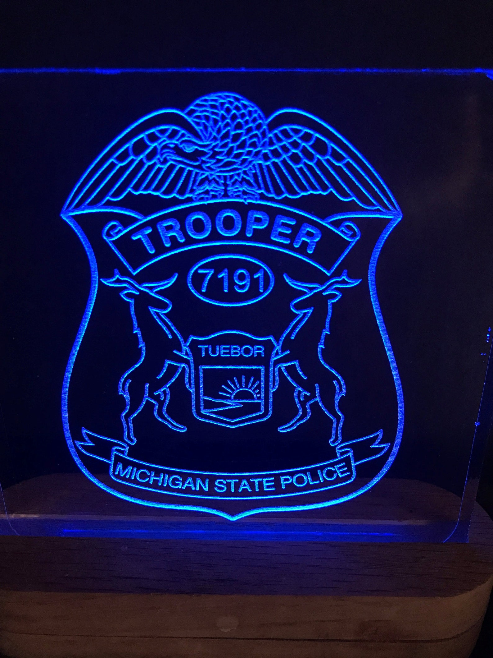 Michigan State Police Badge Acrylic Lighted Plaque Police - Etsy