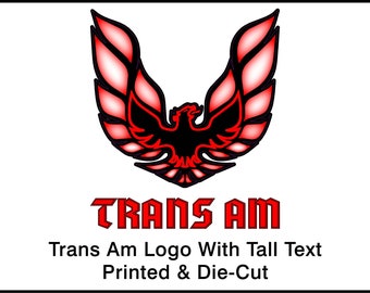 Trans Am Decal - Etsy