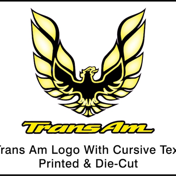 Trans Am Decal - Etsy