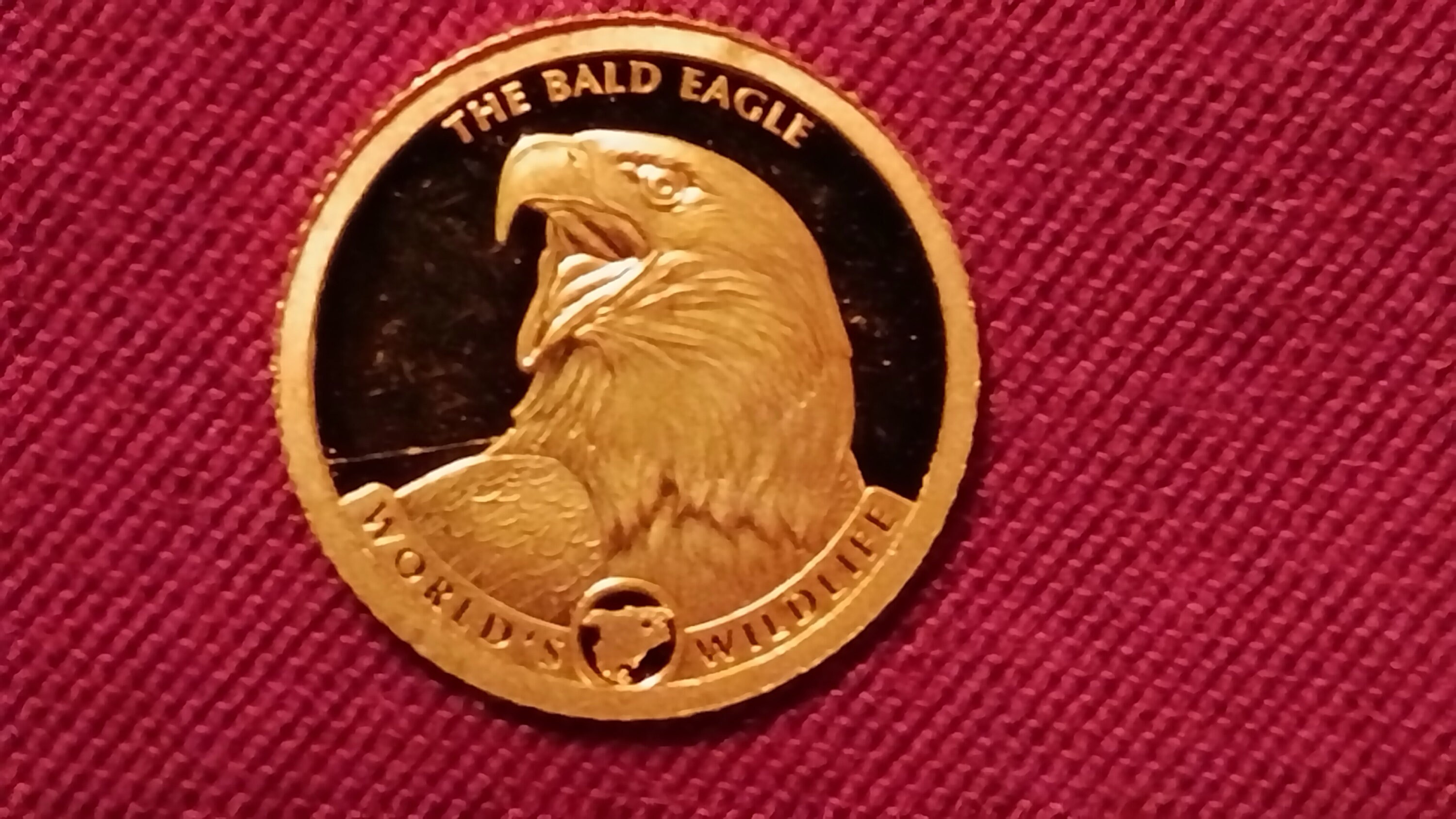 World's Wildlife Collection Bald Eagle Gold Coin 24k - Etsy
